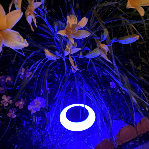 Colorise Bridge Page YS