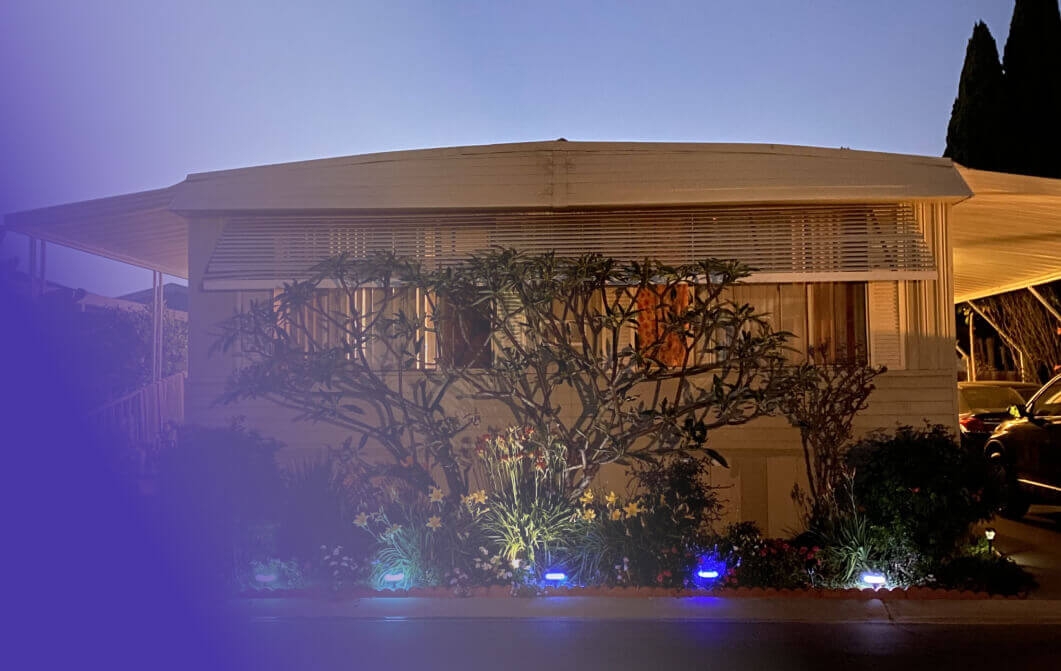 Colorise Bridge Page YS